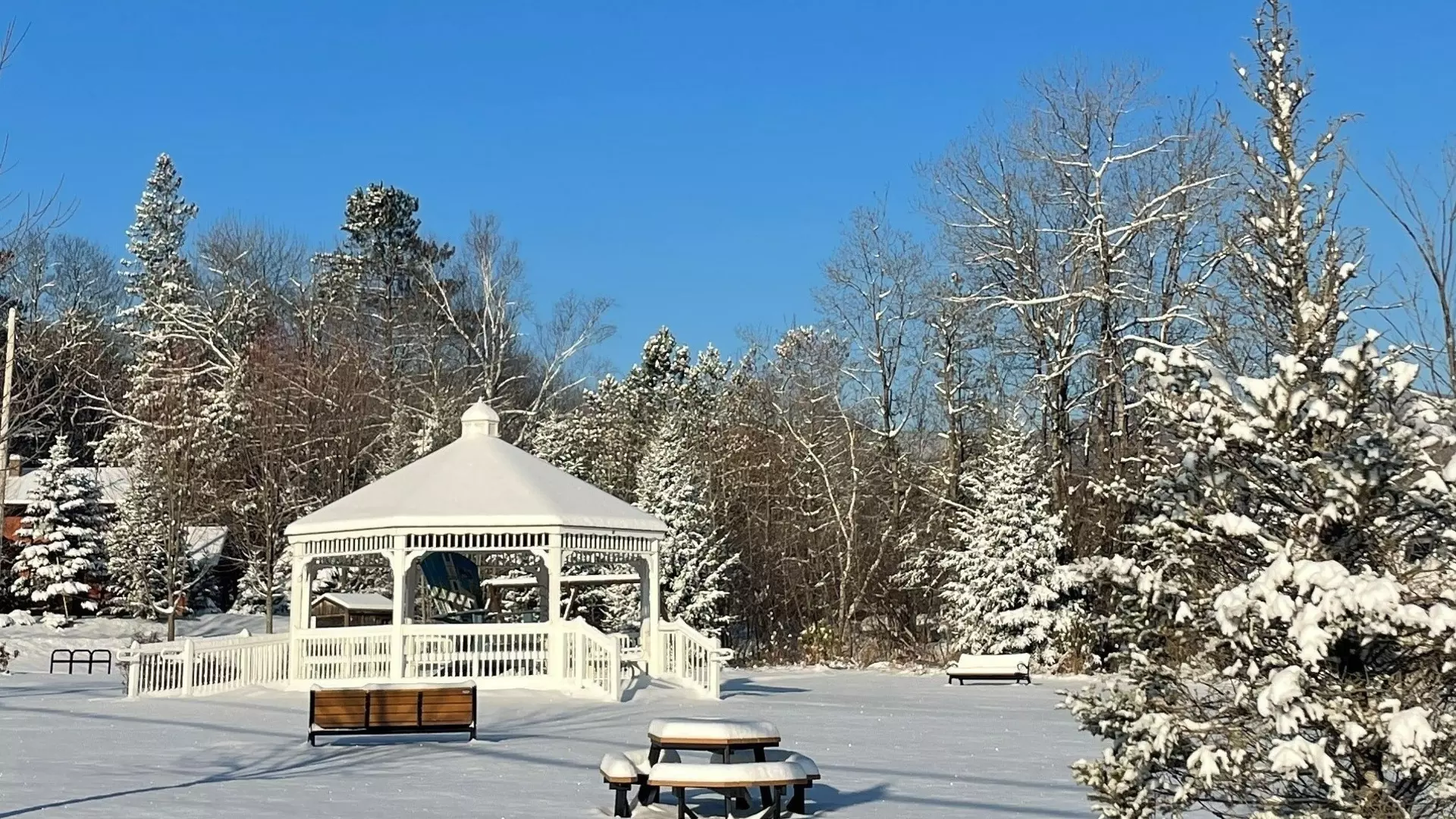 Treasurer's Office | Dover, VT